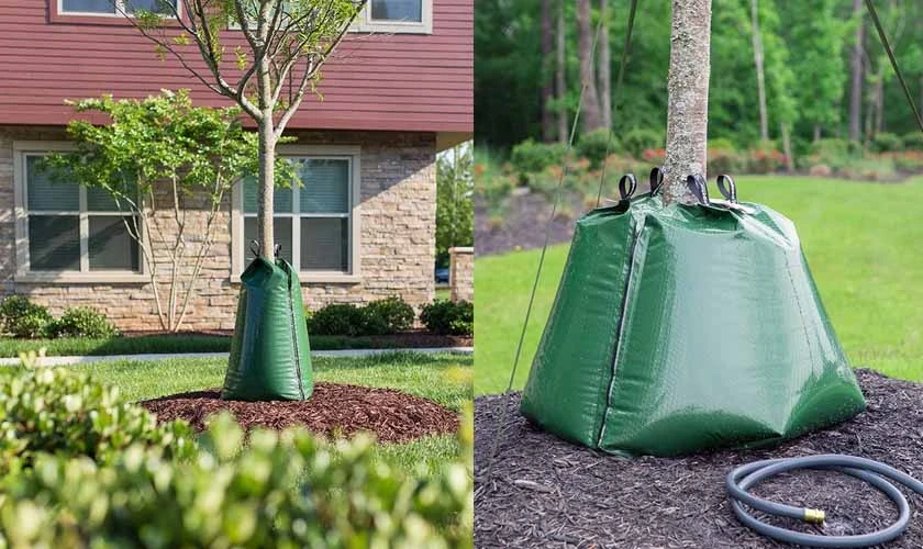 TreeGator Review | Essential Tree Watering Bags