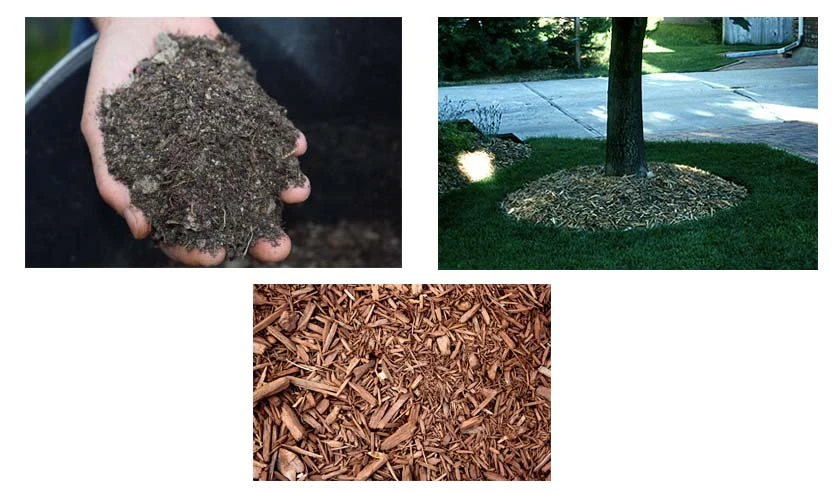 What is Mulch? | Types of Mulch | Mulching Guide